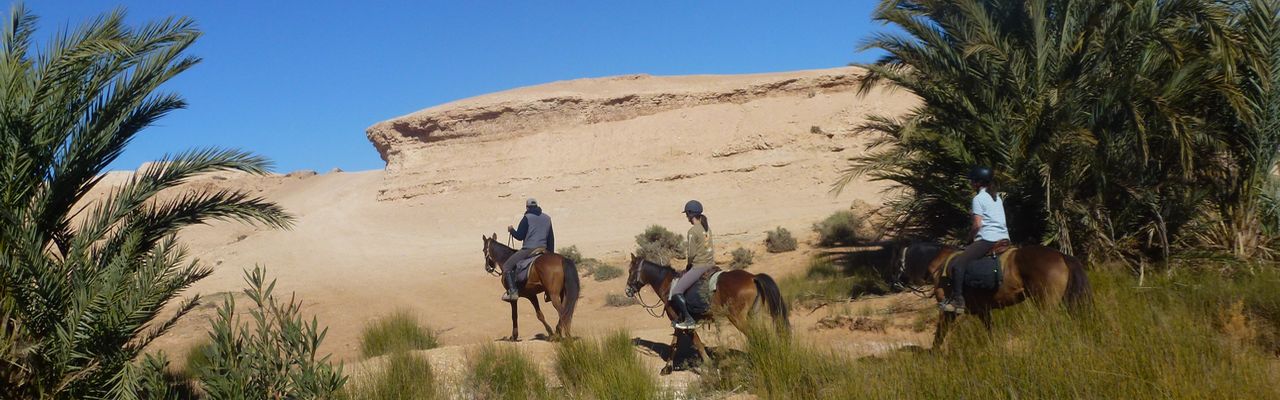 Randonnée équestre sportive Sud Marocain - Randocheval