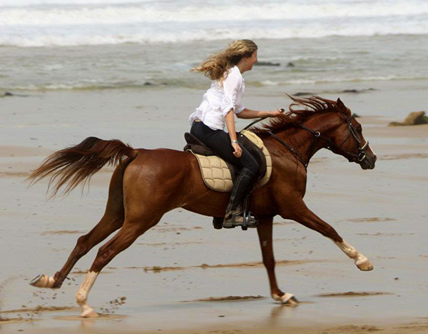 MAROC : Randonnée équestre sur les plages infinies du Sud Marocain ...