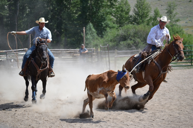 RANCH aux USA - Séjours dans les ranchs américains : équitation western ...